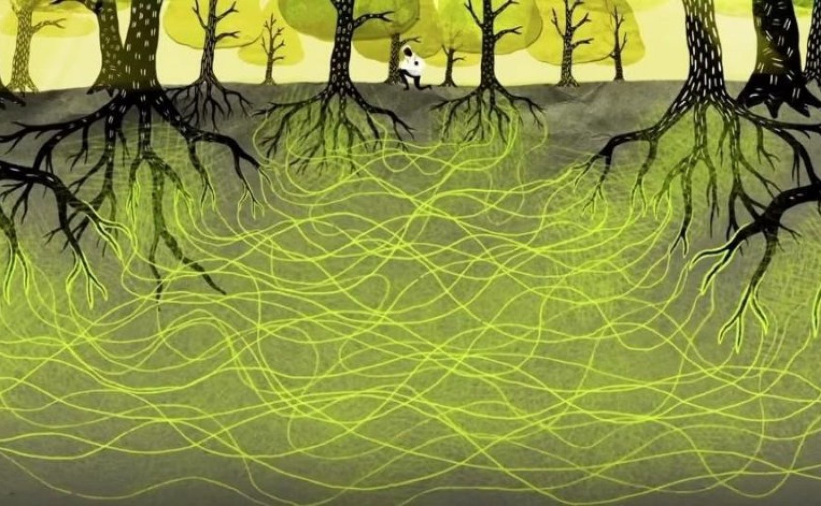 ağaç kökleri arşivleri - Herkese Bilim Teknoloji