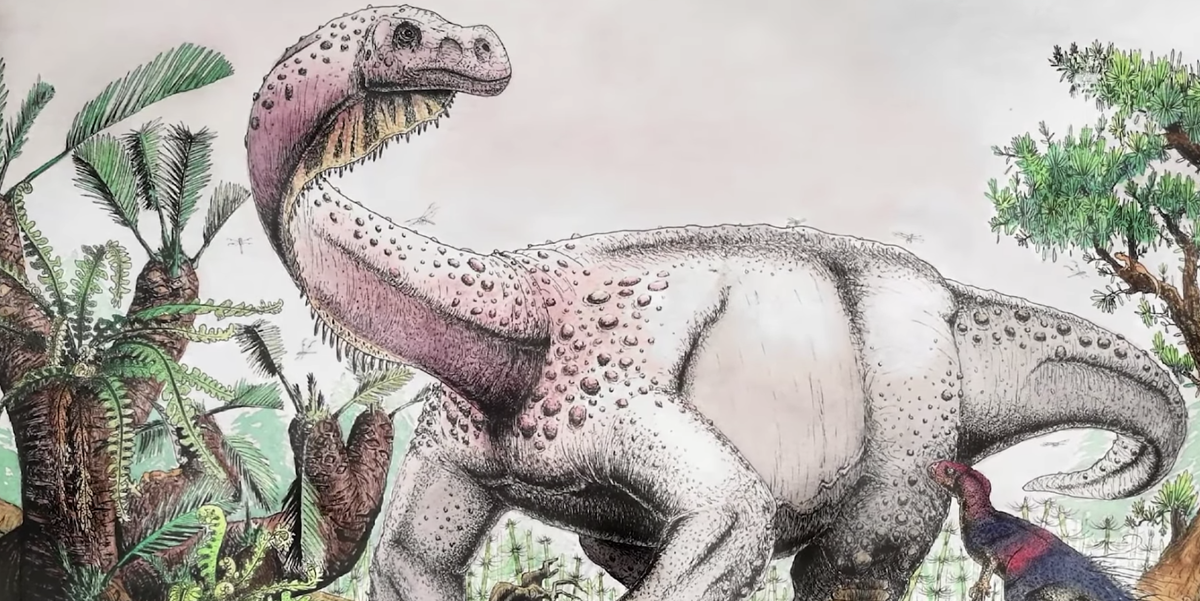 2018'den geleceğe: Nefes kesen 17 bilim olayı