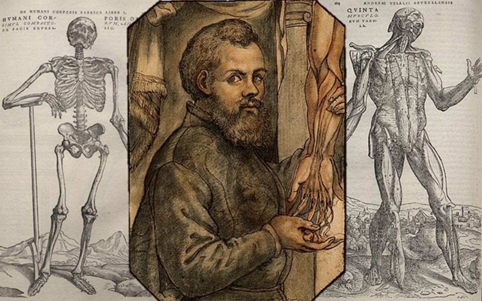 Andreas Vesalius ve modern anatominin uyanışı-1 - Herkese Bilim Teknoloji