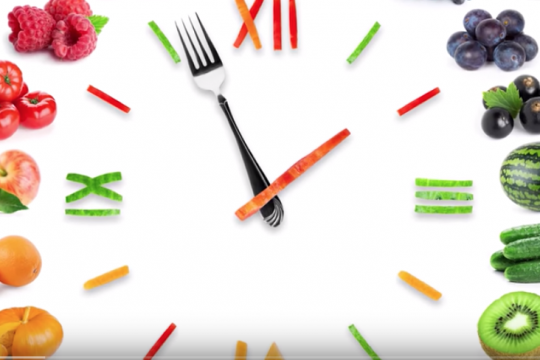 Dolly: 25 yıl önce büyük heyecan yaratan ilk klon koyun - Herkese Bilim ...