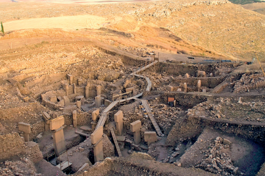 Dolly: 25 yıl önce büyük heyecan yaratan ilk klon koyun - Herkese Bilim ...