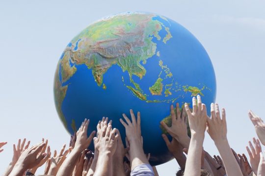 Dolly: 25 yıl önce büyük heyecan yaratan ilk klon koyun - Herkese Bilim ...