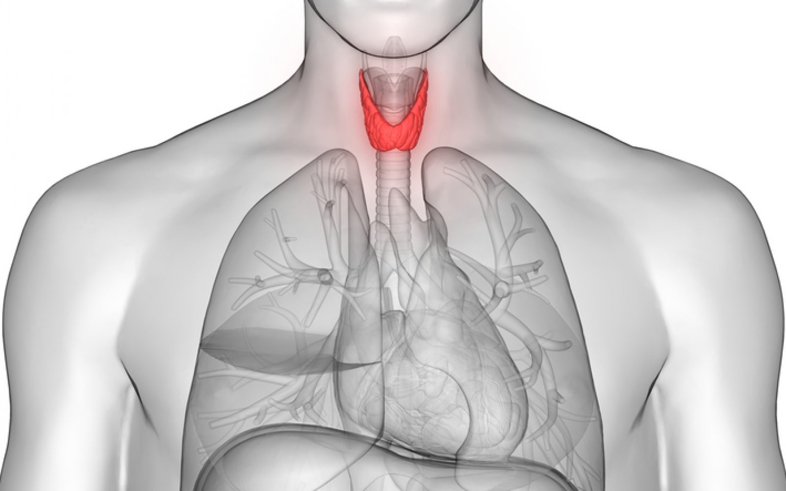 Yaşlandıkça görülen tiroit hastalıkları - Herkese Bilim Teknoloji