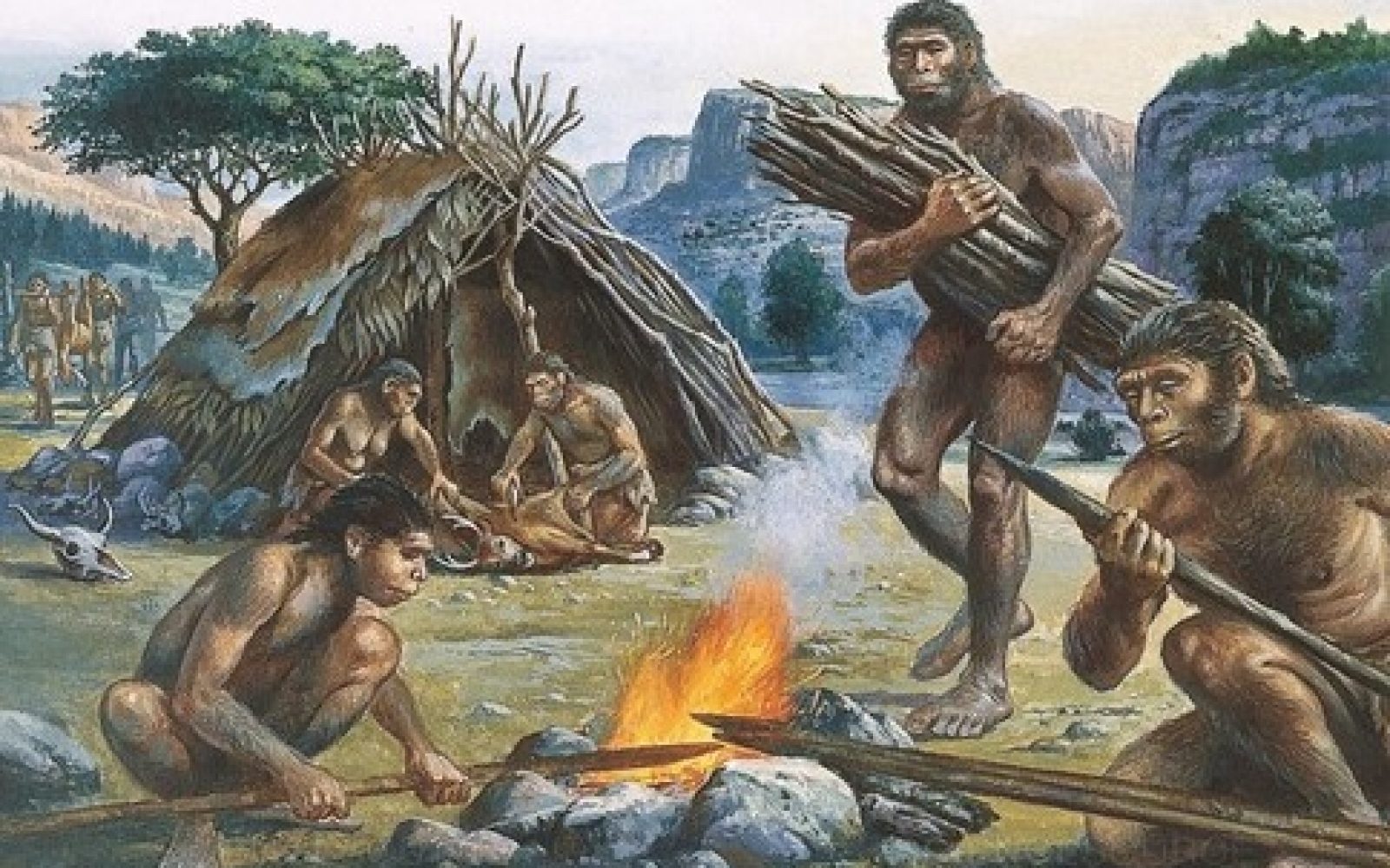 Yoksa bizi insan yapan et tüketimi değil, ateş miydi? - Herkese Bilim ...