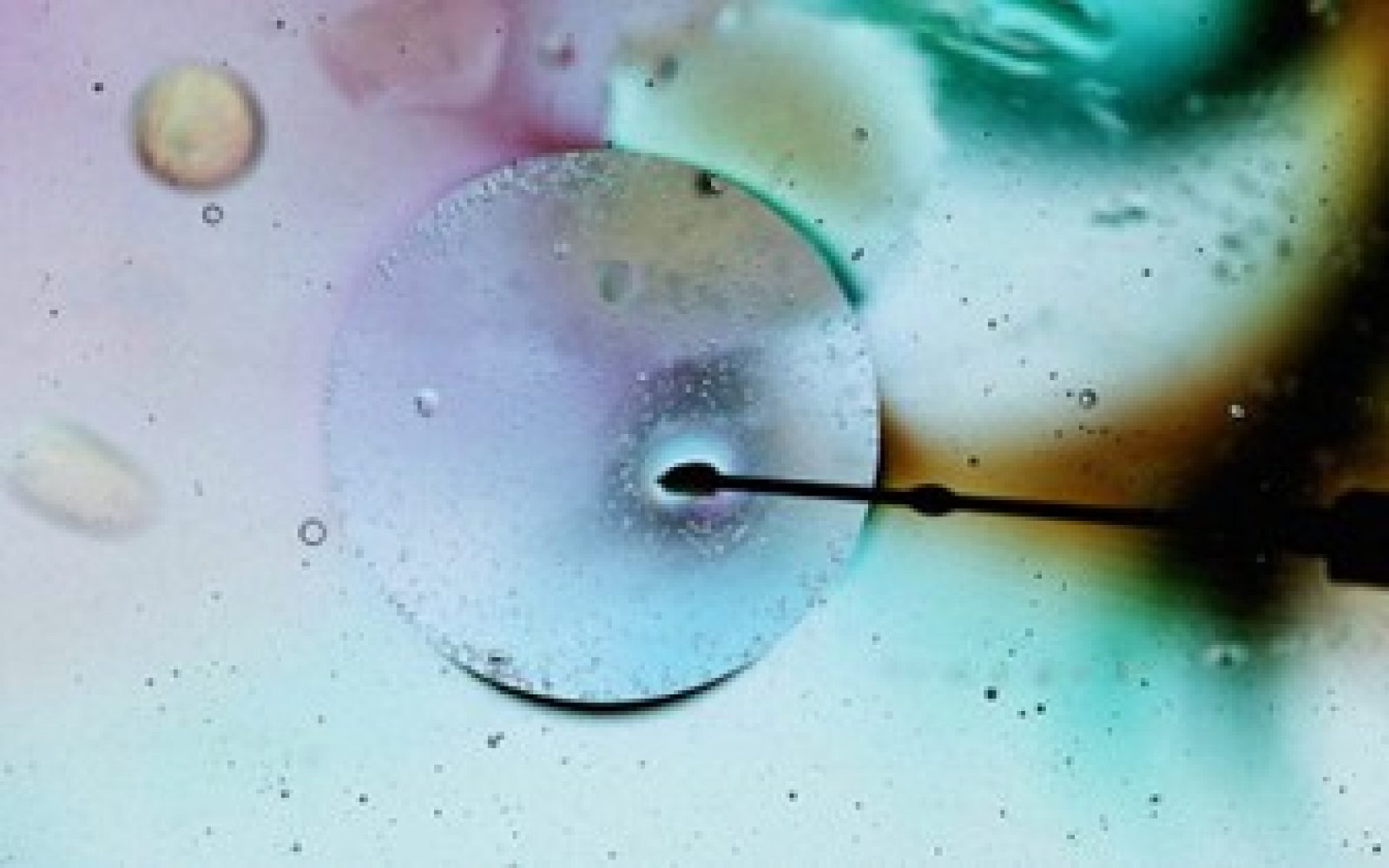 Sperma ve yumurta hücresi kullanmadan yapay embriyo üretildi - Herkese ...